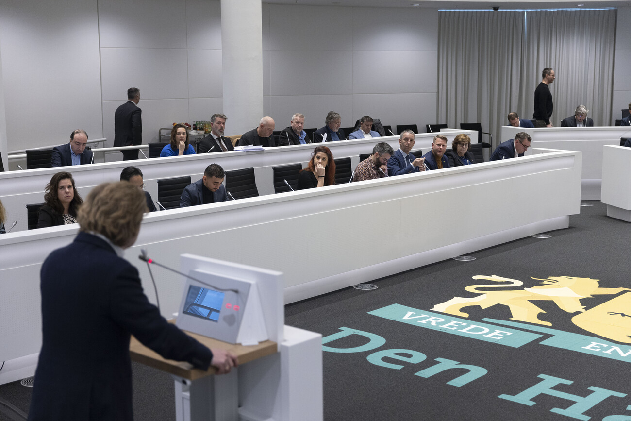 Stad in de raad: laat uw stem horen tijdens vergaderingen - Den Haag