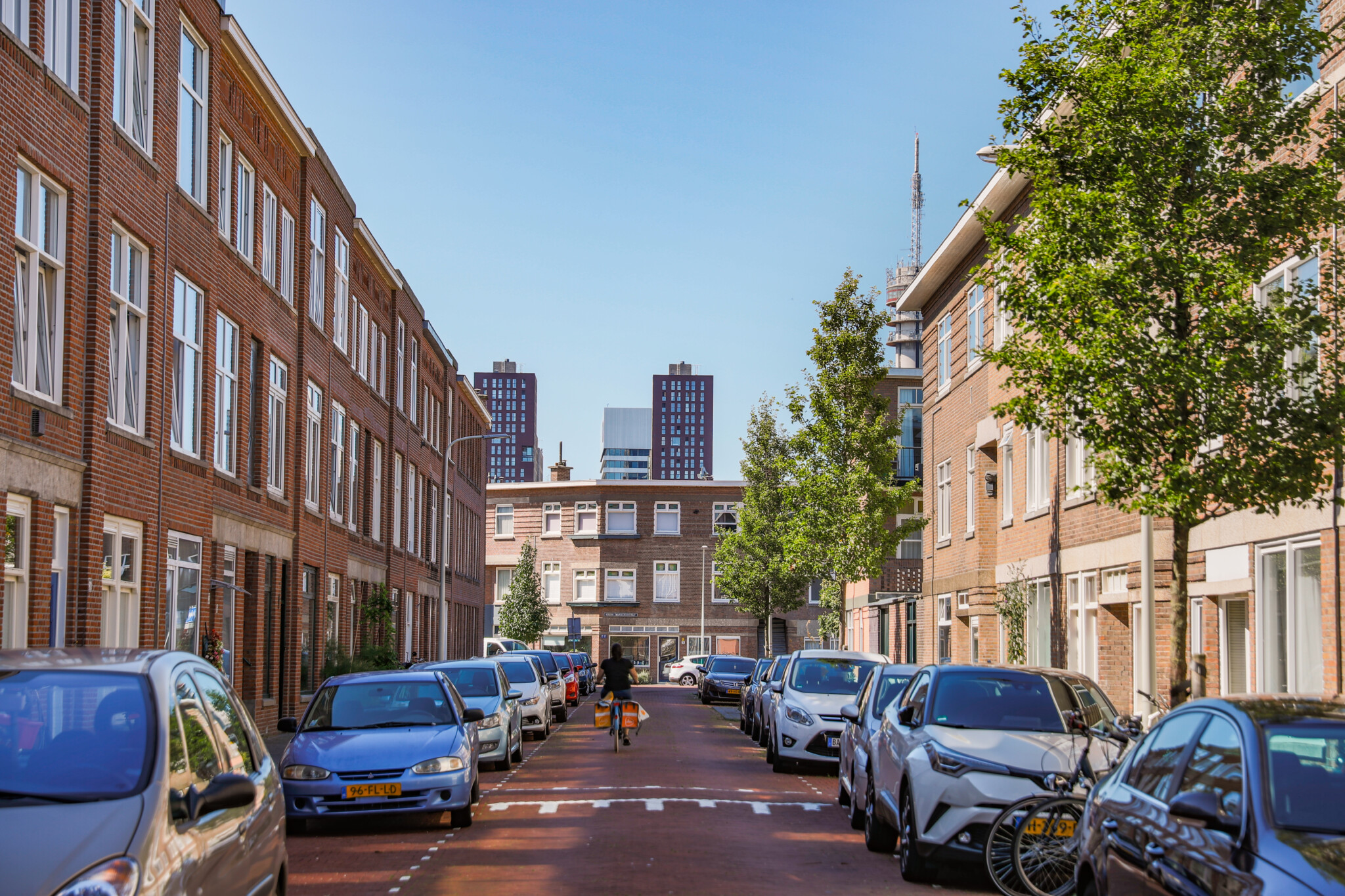 Haagse Hout - Den Haag