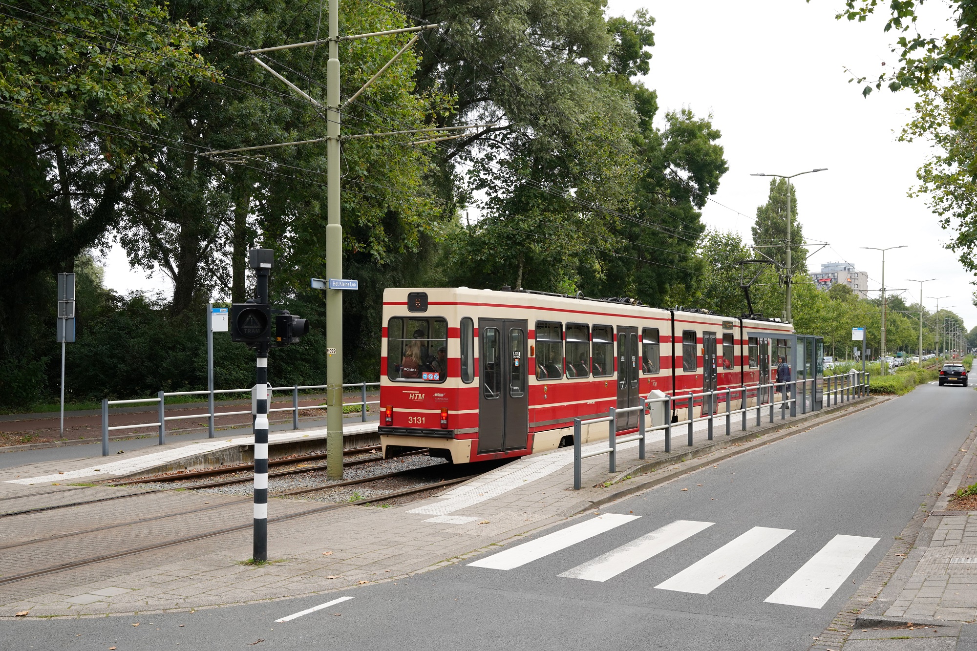 Haagse Hout - Den Haag