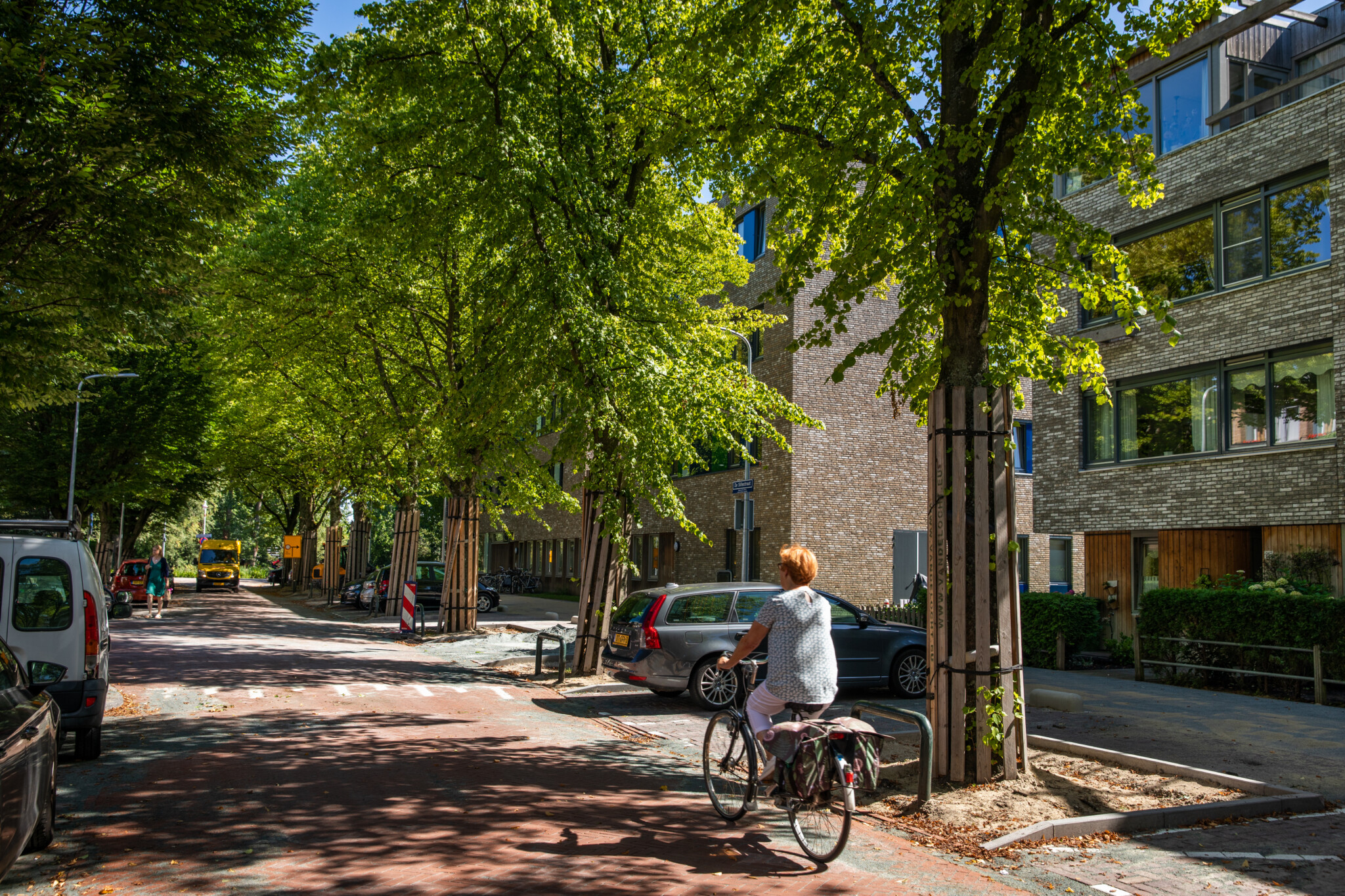 Haagse Hout - Den Haag