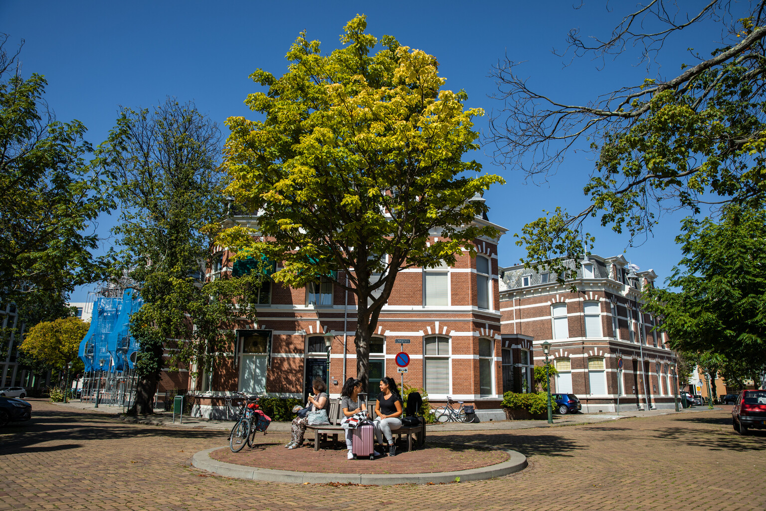 Haagse Hout - Den Haag