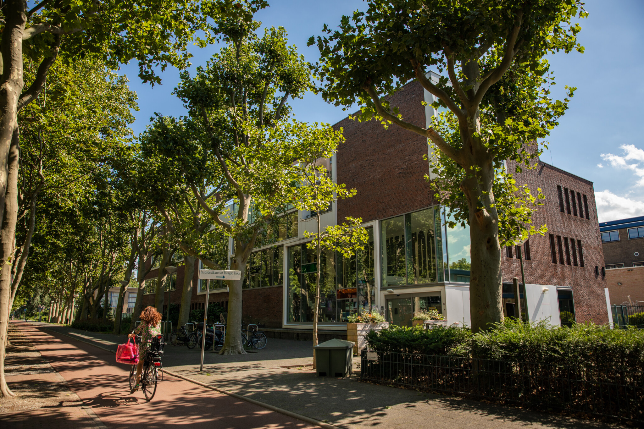 Haagse Hout - Den Haag